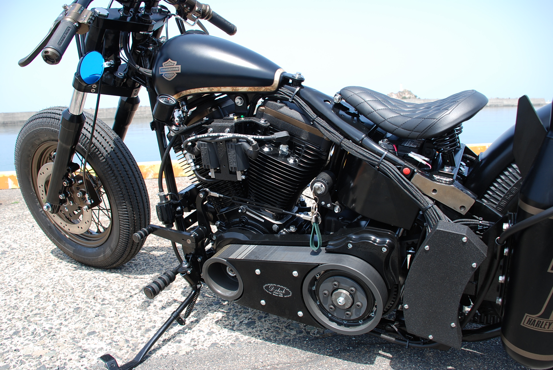 FXSTS - D-club Custom Ranch