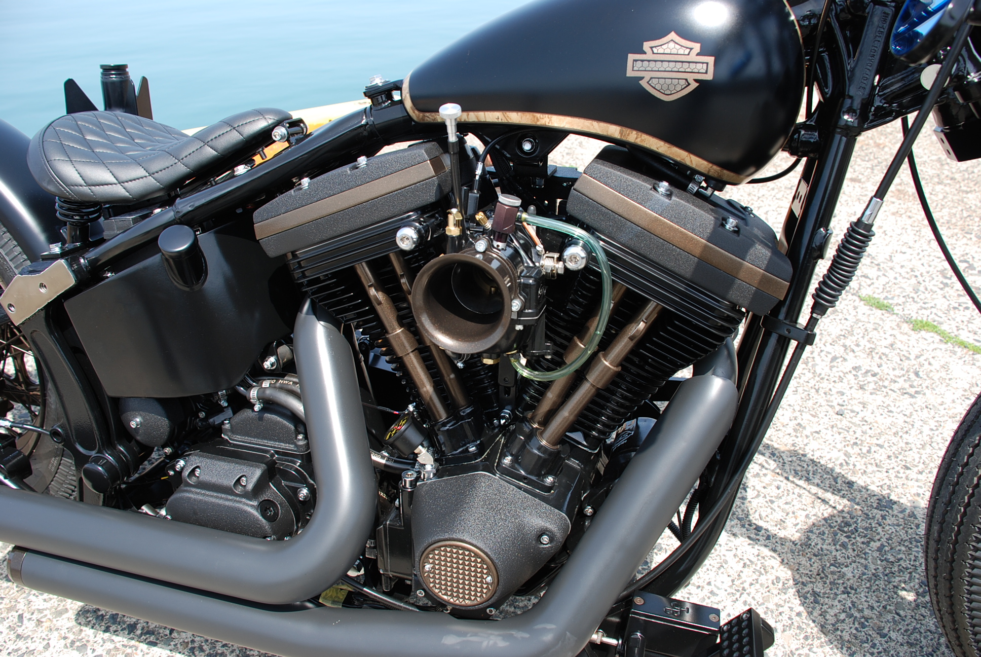 FXSTS - D-club Custom Ranch