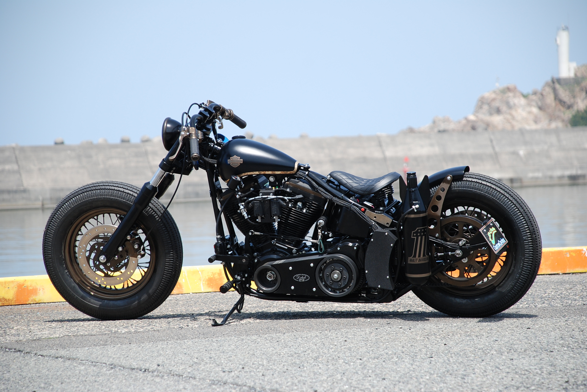 FXSTS - D-club Custom Ranch